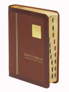 santa biblia: reina-valera 1909 (spanish edition)