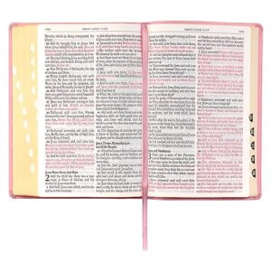 KJV Holy Bible, Giant Print Full-size Faux Leather Red Letter Edition - Thumb Index & Ribbon Marker, King James Version, Pink