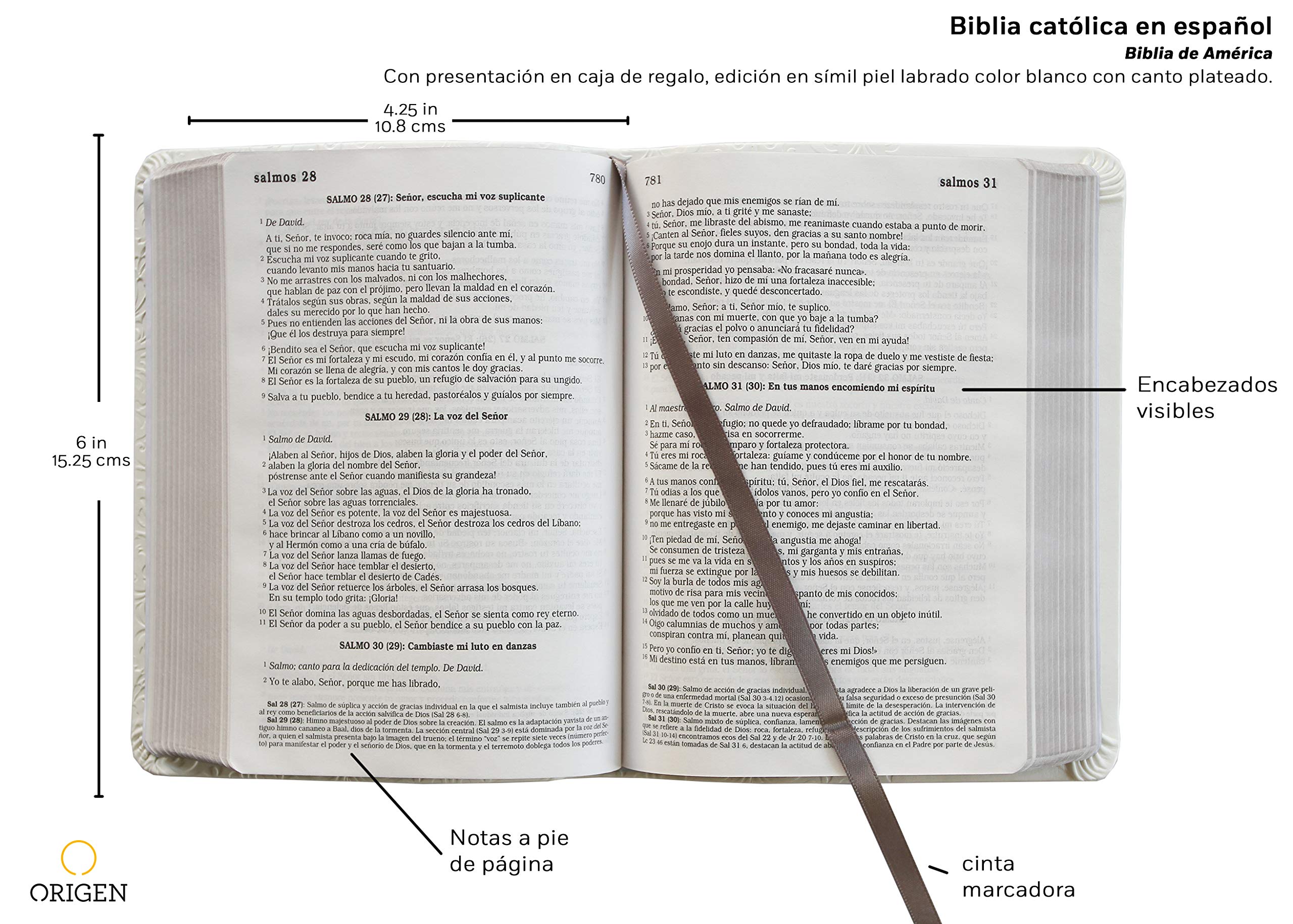 Biblia Católica en español. Boda, bautizo, primera comunión, confirmación y cumpleaños. Caja blanca regalo / Catholic Bible. Spanish-Language, Leathersoft,