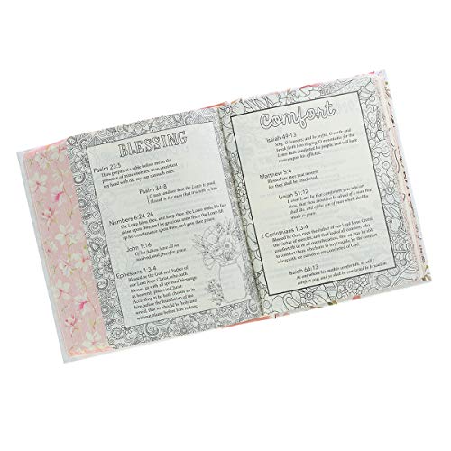 KJV Holy Bible, My Promise Bible, Hardcover w/Bible Tabs, Coloring Stickers, Ribbon Markers, King James Version, White/Pink Floral Wreath