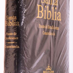 Santa Bíblia Con Concordancia y Fuente de Bendiciones / With Concordance & Fountain of Blessings (Spanish Edition)