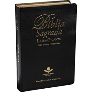 santa bíblia letra grande / large print (portuguese edition)