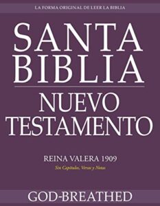 santa biblia: nuevo testamento: reina valera 1909 (sin capítulos, versos y notas) (spanish edition)