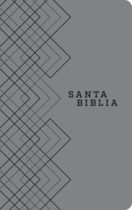 santa biblia ntv, edición ágape (sentipiel, gris) (spanish edition)