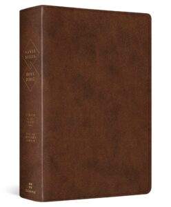 esv spanish/english parallel bible (la santa biblia rvr / the holy bible esv, trutone, brown) (english and spanish edition)