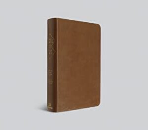 ESV Spanish/English Parallel Bible (La Santa Biblia RVR / The Holy Bible ESV, TruTone, Brown) (English and Spanish Edition)