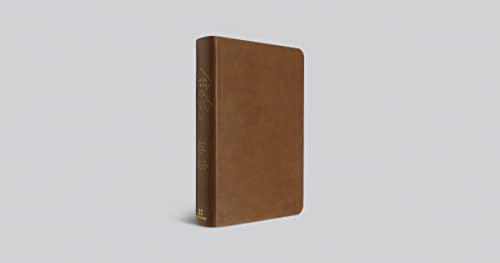 ESV Spanish/English Parallel Bible (La Santa Biblia RVR / The Holy Bible ESV, TruTone, Brown) (English and Spanish Edition)