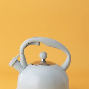 Typhoon Otto Collection | Stovetop Kettle - Blue