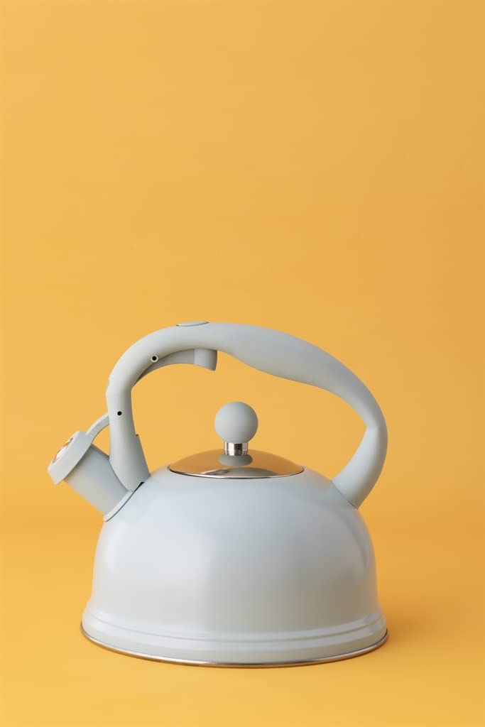 Typhoon Otto Collection | Stovetop Kettle - Blue