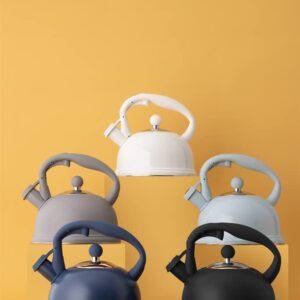 Typhoon Otto Collection | Stovetop Kettle - Blue