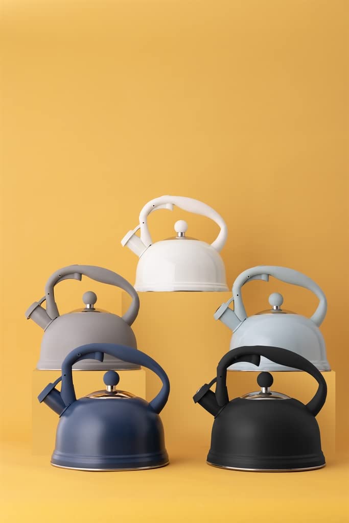 Typhoon Otto Collection | Stovetop Kettle - Blue