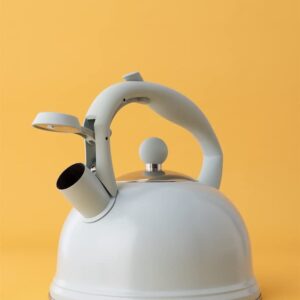 Typhoon Otto Collection | Stovetop Kettle - Blue