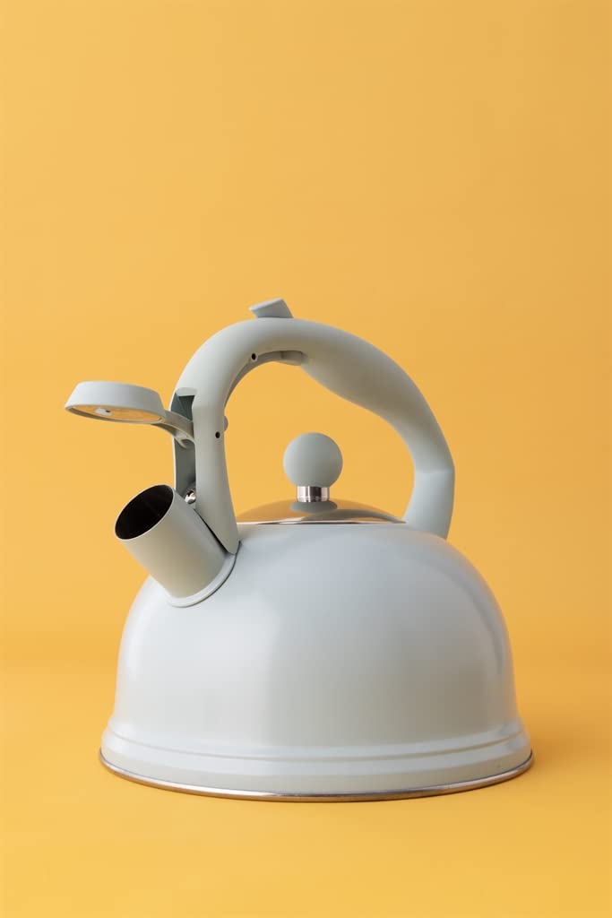 Typhoon Otto Collection | Stovetop Kettle - Blue