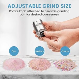 B&C Home Goods Pill Crusher - Stainless Steel Pill Grinder - Large Capacity Pill Crusher - Grind Pills into Fine Powder - Mills for Feeding Tube, Pets & Kids