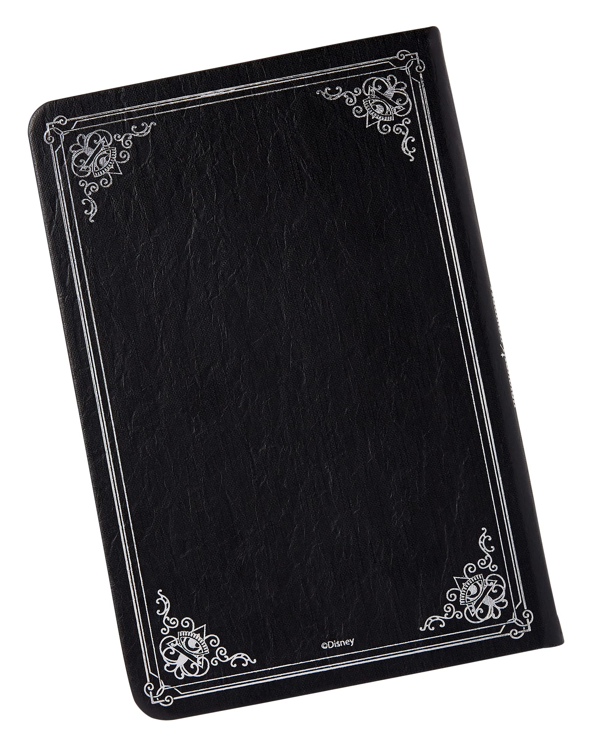 Spirit Halloween Disney The Haunted Mansion Journal