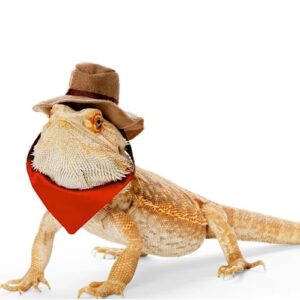 seis 2pcs bearded dragon cowboy hat and bandana halloween lizard reptile costume cool pet cap small animal hamster outfit suit cosplay sculpt (cowboy)