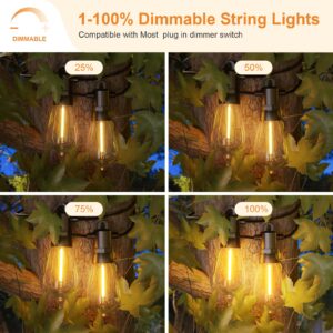 GPATIO 100FT Outdoor String Lights IP65 Waterproof, 2200K Warm White, Decor for Patio, Backyard, Gazebo, Garden, Outside, Cafe, Party, Christmas.