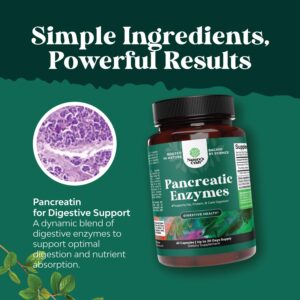 Pancreatin Digestive Enzymes for Digestive Health - Pancreatic Enzymes for Humans with Fat Carb and Protein Digestive Enzymes for Women and Men - Protease Amylase & Lipase Enzymes for Digestion - 60ct