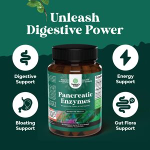 Pancreatin Digestive Enzymes for Digestive Health - Pancreatic Enzymes for Humans with Fat Carb and Protein Digestive Enzymes for Women and Men - Protease Amylase & Lipase Enzymes for Digestion - 60ct