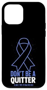 iphone 12 mini novelty don't a quitter like my pancreas fighters fan case