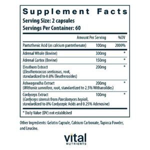 Vital Nutrients Adrenal Support | Adrenal Support Supplements for Gland Function and Cortisol Management | Supports Energy and Stress Levels | Gluten, Dairy, Soy Free | 120 Capsules