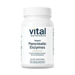 vital nutrients vegan pancreatic enzymes | digestive enzymes for women & men | enzymes for digestion support gut health | relief from gas & bloating | gluten, dairy, soy free | 90 capsules