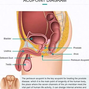 Prostate Gland Health Care Device for Men Prostatitis Pelvic Inflammation