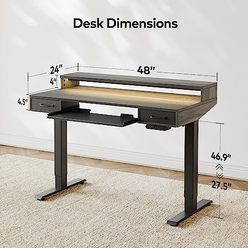 FEZIBO 48 x 24 Inch Height Adjustable Electric Standing Desk with Double Drawers&Keyboard Tray, Stand Up Desk with LED Strips, Sit Stand Desk with Monitor Stand, Rustic Grey