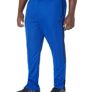 adidas Men's Tiro 21 Track Pants, Team Royal Blue/Black, Large