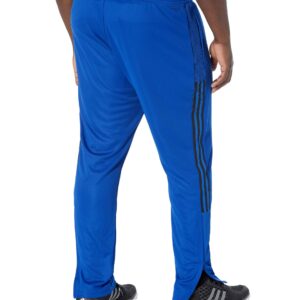 adidas Men's Tiro 21 Track Pants, Team Royal Blue/Black, Large