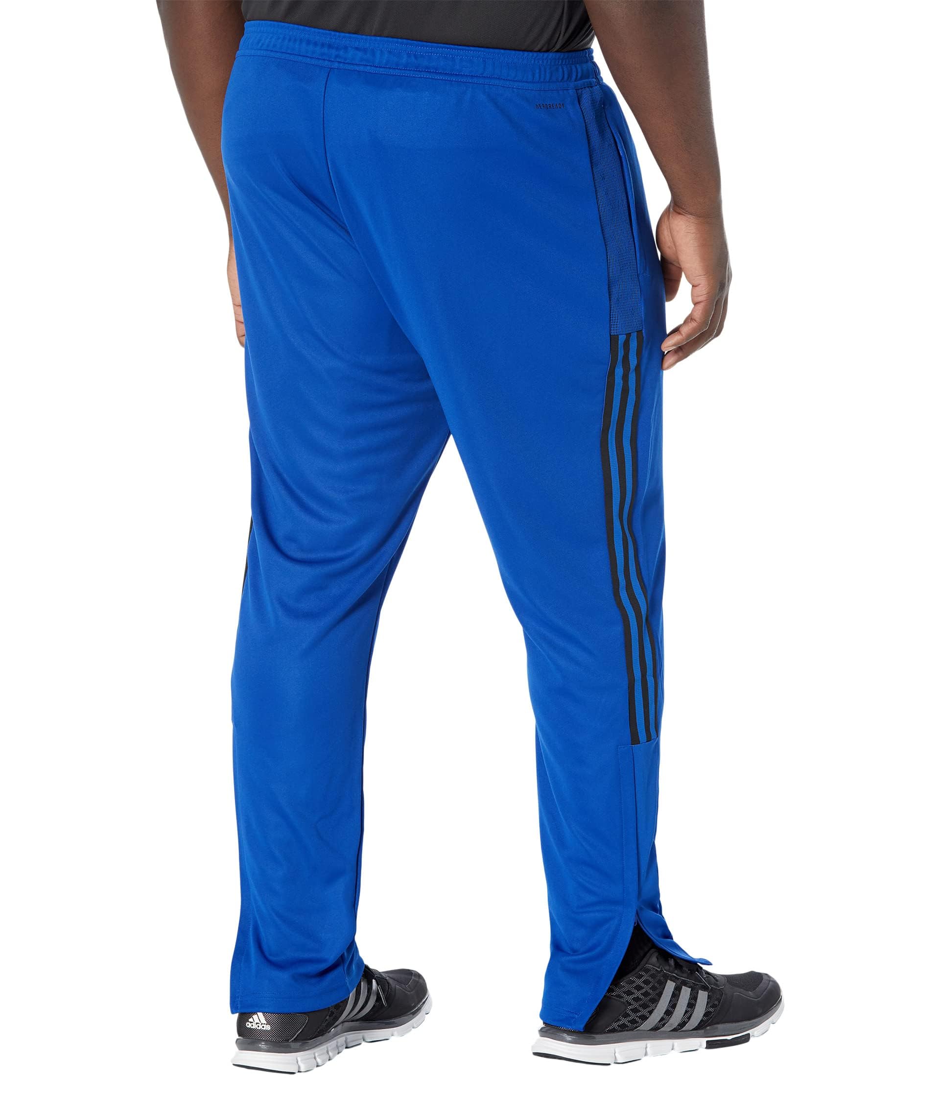 adidas Men's Tiro 21 Track Pants, Team Royal Blue/Black, Large