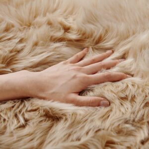 SERISSA Faux Sheepskin Fur Area Rug Beige Fur Chair Cover Seat Pad Small Fuzzy Rug for Bedroom Floor Sofa Living Room Decor 2x3 Feet