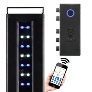 current usa 24-36" inch orbit marine ic loop led saltwater reef marine aquarium light with bluetooth app control | wireless lighting & eflux wave pump control for fish tank (4205)