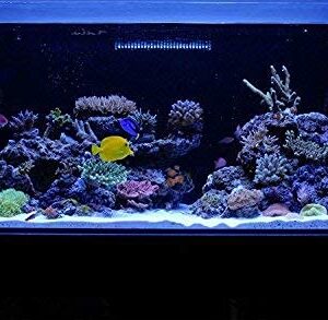 KZKR LED Aquarium Hood Lighting 72-78 inch Fish Tank Light Lamp for Freshwater Marine Saltwater Blue and White Decorations Light 6-7ft (34W) 180cm - 200cm