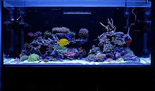 KZKR LED Aquarium Hood Lighting 72-78 inch Fish Tank Light Lamp for Freshwater Marine Saltwater Blue and White Decorations Light 6-7ft (34W) 180cm - 200cm