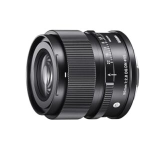 90mm F2.8 DG DN for Sony E