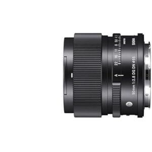 90mm F2.8 DG DN for Sony E