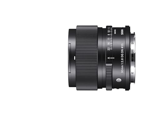 90mm F2.8 DG DN for Sony E