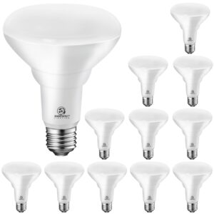 e energetic lighting 12 pack led recessed light bulbs br30, 1500lm, dimmable, 5000k daylight, 105w equivalent, indoor flood lights for recessed cans, ul listed