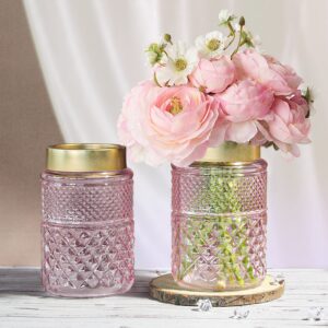 2-pack flower vase glass, pink fluted vase with golden metal top, stylish decorative for tabletop centerpiece, kitchen, living room, bedroom, bathroom, office(blush pink-set of 2)