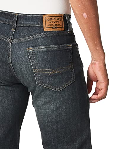 Signature by Levi Strauss & Co. Gold Men's Regular Fit Flex Jeans, Westwood #1, 38W x 30L