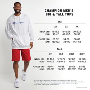 Champion Men's Hoodie, Powerblend, Fleece Striped Sweatshirt for Men (Reg. or Big & Tall)