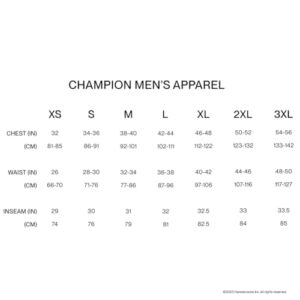 Champion Men's Hoodie, Powerblend, Fleece Striped Sweatshirt for Men (Reg. or Big & Tall)