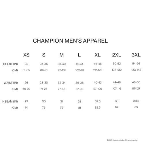 Champion Men's Hoodie, Powerblend, Fleece Striped Sweatshirt for Men (Reg. or Big & Tall)