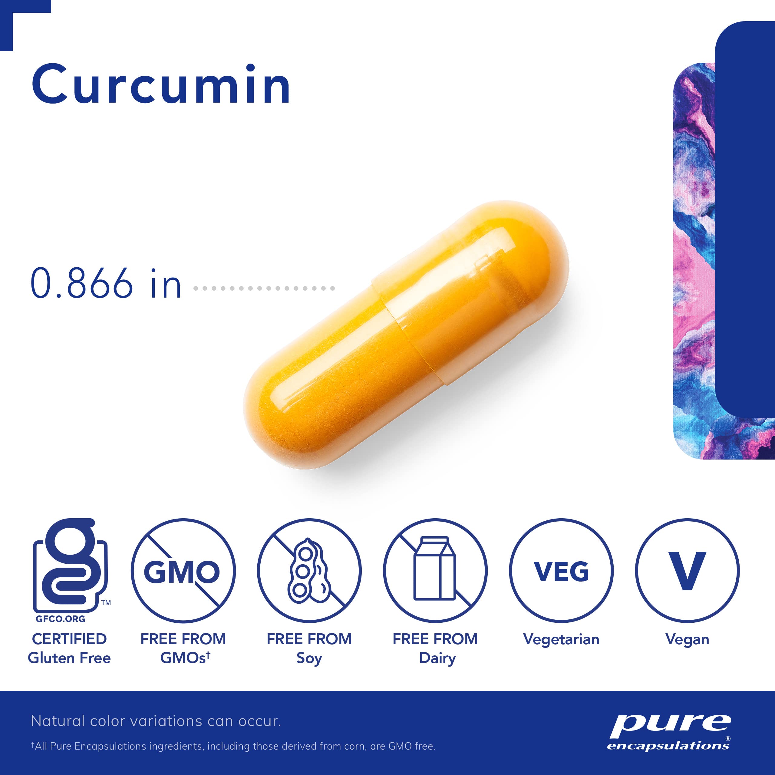 Pure Encapsulations Curcumin - 500 mg - Supports Joint Health & Liver Health - Curcuma Longa Capsule - Non-GMO & Vegan - 120 Capsules