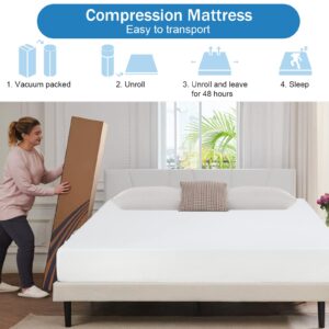 Queen Mattresses, 8 Inch Gel Memory Foam Mattress for Pressure Relief, Medium Firm Mattress in a Box, CertiPUR-US Certified, Fiberglass Free, with Washable Cover