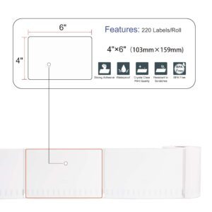 L LIKED 15 Rolls Compatible with Dymo 1744907 Internet Postage Labels 4" x 6" Shipping Labels Compatible with Rollo, DYMO 4XL & Zebra Desktop Printers (220 Labels Per Roll)