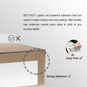 BETCKEY - Compatible DYMO 99019 (2-5/16" x 7-1/2") Large Lever Arch File Labels, Compatible with DYMO Labelwriter 450, 4XL, Rollo & Zebra Desktop Printers [6 Rolls/900 Labels]