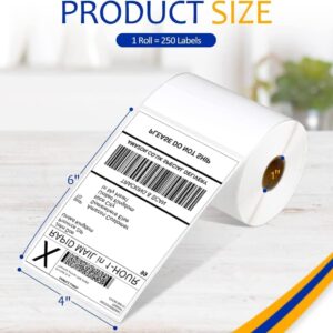 Itari 4x6 Thermal Labels - Shipping Labels, Label Stickers Thermal Paper with Perforated for Thermal Printer, Compatible with Etsy, Shopify, Ebay, Amazon, FedEx, 250 PCS/Roll, White