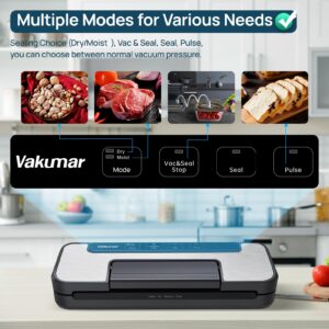 Vacuum Sealer Machine, 80Kpa Food Vacuum Sealer Machine with Double Pump, Dry,/Moist, Pulse Mode, Handle Locked Design, LED Indicator Light & Cutter,12MM Widened Heating Strip